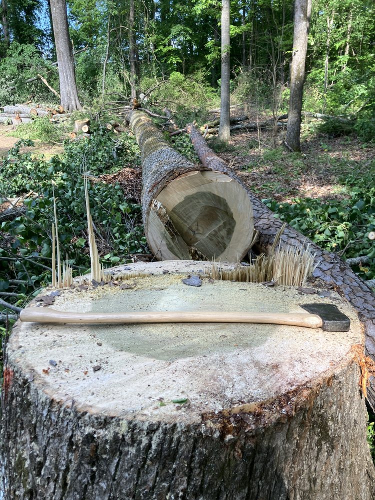 BIG TIMBER LAND MANAGEMENT - Updated October 2024 - Somerville, Alabama ...