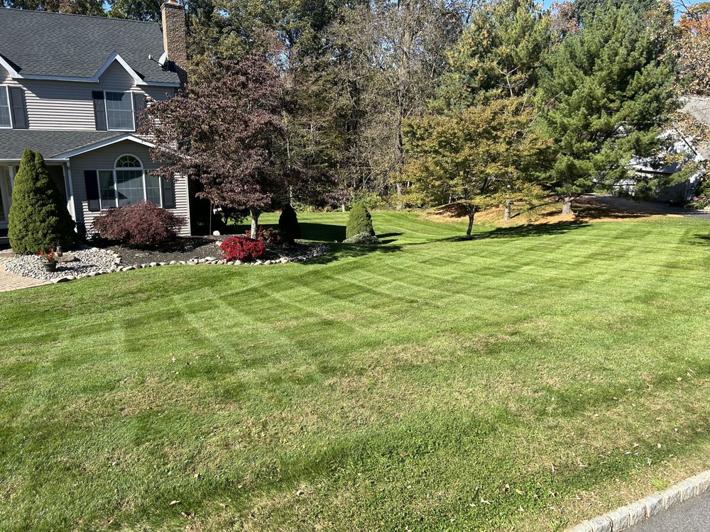 FIRST CLASS GRASS - Updated December 2025 - 14 Photos - Bethlehem, Pennsylvania - Lawn Services ...