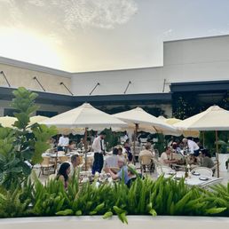 MOTEK - BOCA RATON - Updated September 2025 - 428 Photos & 169 Reviews ...