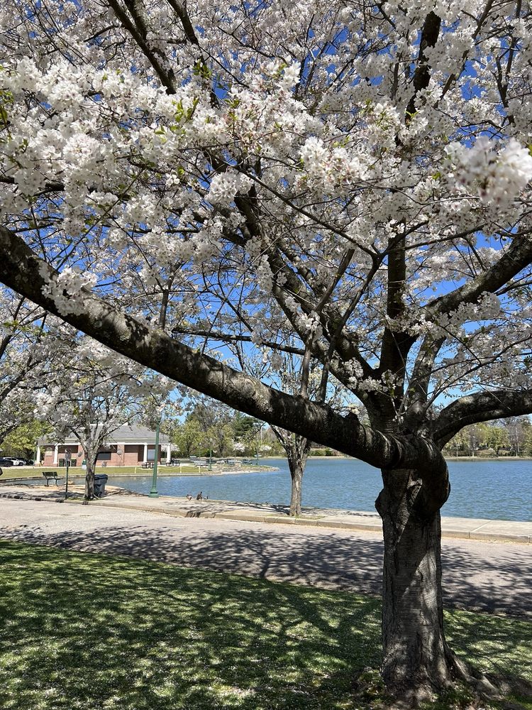 BYRD PARK - Updated December 2025 - 75 Photos & 38 Reviews - 600 S Blvd ...