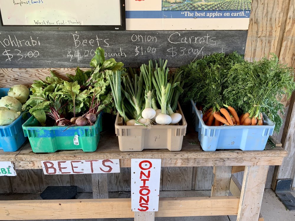 PLEASANT RIDGE FARM - Updated December 2025 - 28 Photos - 19166 ...