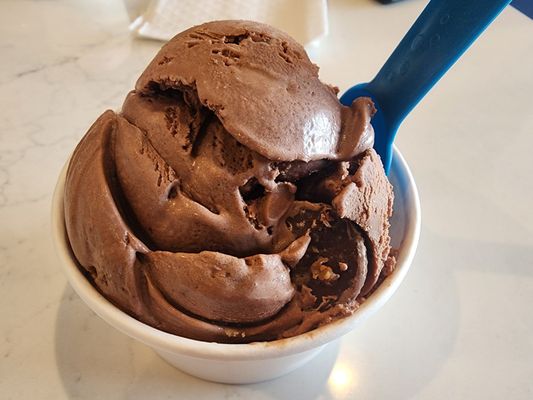 BLUE SCOOP CREAMERY - Updated June 2024 - 44 Photos & 43 Reviews - 391 ...