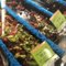 NAPILI MARKET - Updated May 2026 - 230 Photos & 263 Reviews - 5095 ...