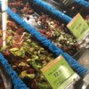 NAPILI MARKET - Updated May 2026 - 230 Photos & 263 Reviews - 5095 ...