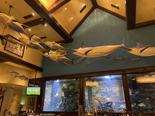 ISLAMORADA FISH COMPANY - Updated September 2024 - 108 Photos & 166 ...