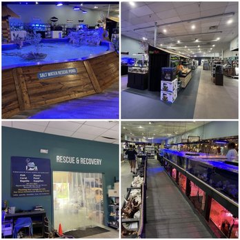 FLOATING SEA AQUATICS - Updated October 2024 - 235 Photos & 45 Reviews ...