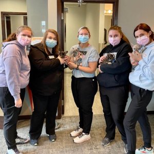 NORTHWAY DENTAL ASSOCIATES - Updated October 2024 - 14 Photos - 1500 ...