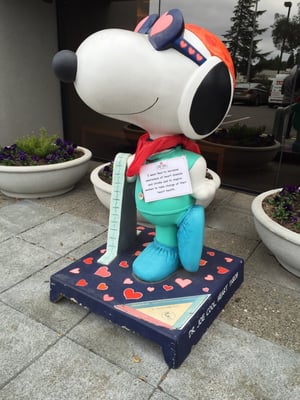 SANTA ROSA IMAGING MEDICAL CENTER - Updated October 2025 - 18 Photos ...