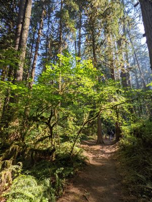 OXBOW REGIONAL PARK - Updated September 2024 - 65 Photos & 45 Reviews ...