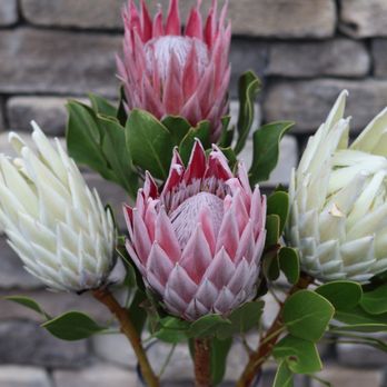 J MERULLO IMPORTS - Updated December 2025 - 90 Gordon Dr, Syosset, New ...