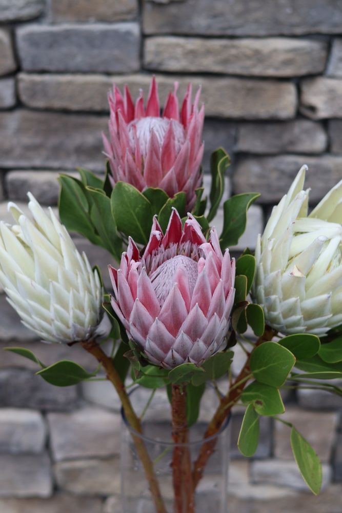 J MERULLO IMPORTS - Updated December 2025 - 90 Gordon Dr, Syosset, New ...