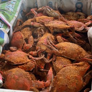 WHALEBONE SEAFOOD MARKET & TAKEOUT - 94 Photos & 93 Reviews - 101 E ...