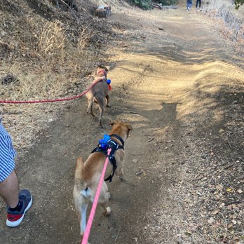 WILACRE PARK - Updated June 2024 - 428 Photos & 171 Reviews - 3431 ...