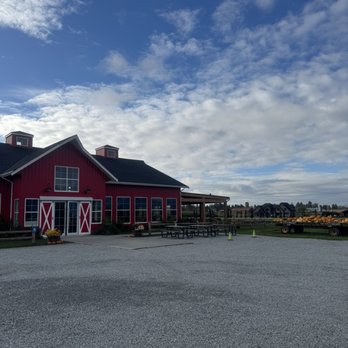 THE PATCH BREWERY - Updated December 2025 - 30 Photos & 16 Reviews ...