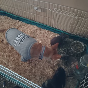 THE ANIMAL CONNECTION - Updated October 2025 - 180 Photos & 290 Reviews ...