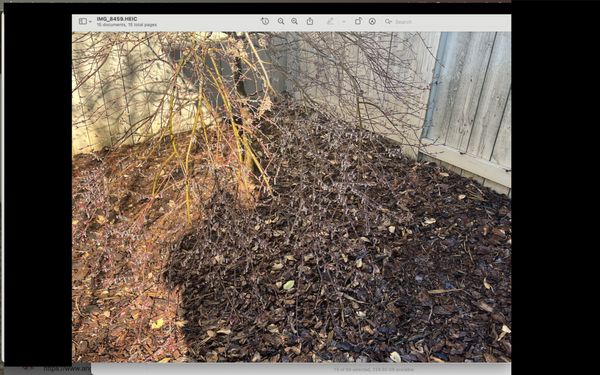 CONSERVA IRRIGATION - NORTH ATLANTA - Updated October 2025 - 28 Photos ...