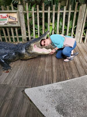 ST. AUGUSTINE ALLIGATOR FARM ZOOLOGICAL PARK - 1264 Photos & 341 ...