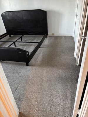 PRISTINE CARPET & TILE CLEANING - Updated December 2025 - 316 Photos & 346 Reviews - Palm ...