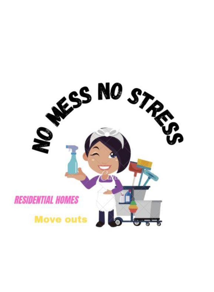 NO MESS NO STRESS CLEANING LLC - Greenville , SC - Yelp