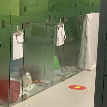 TORONTO HUMANE SOCIETY - Updated January 2026 - 76 Photos & 47 Reviews ...