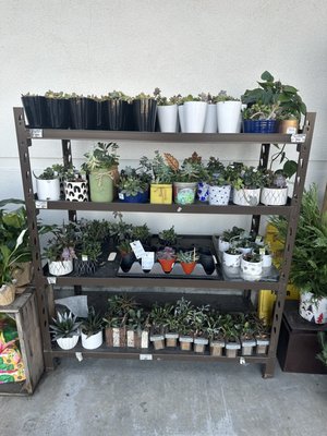 VONS - Updated December 2025 - 106 Photos & 31 Reviews - 2250 Otay Lks ...