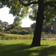 UNIVERSITY OF ILLINOIS ARBORETUM - 185 Photos & 23 Reviews - 1800 S ...