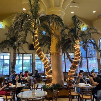 SHATILA BAKERY - DEARBORN - Updated May 2024 - 1045 Photos & 814 ...