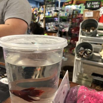 PREUSS PETS - Updated November 2024 - 74 Photos & 79 Reviews - 1127 N ...