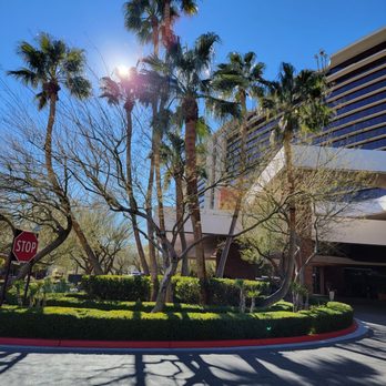 RED ROCK POOL - Updated September 2025 - 117 Photos & 68 Reviews ...