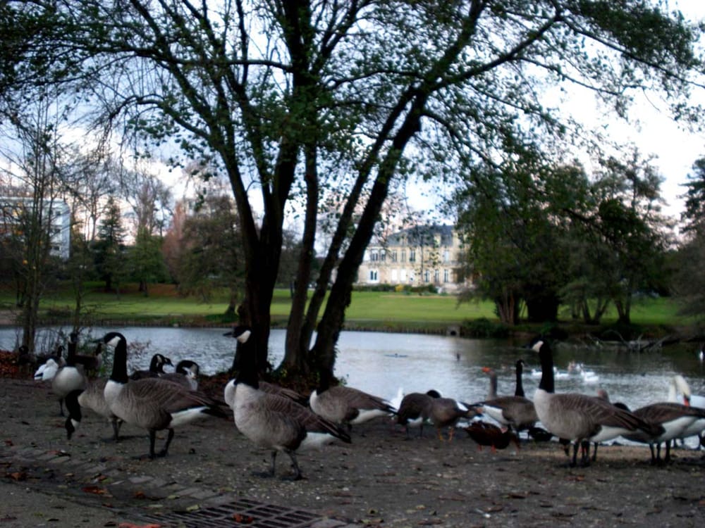 PARC DE BOURRAN - Updated August 2024 - 22 Photos & 15 Reviews - Avenue ...