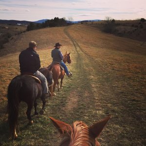 STAR B STABLES - 18 Photos & 12 Reviews - 2926 Barterbrook Rd, Staunton ...