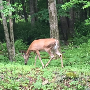 CRANBERRY RUN CAMPGROUND - Updated December 2025 - 16 Photos & 27 ...