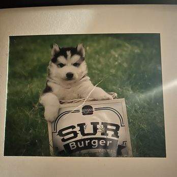 SUR BURGER - Updated August 2024 - 300 Photos & 456 Reviews - 409 ...