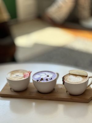 PHALCHA - Updated June 2025 - 230 Photos & 80 Reviews - 1001 Mary St ...