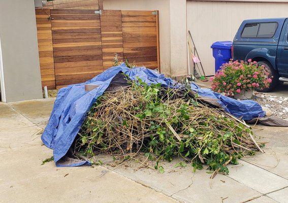 ALEX JUNK REMOVAL AND DEMOLITION - Updated June 2025 - 26 Photos & 15 ...