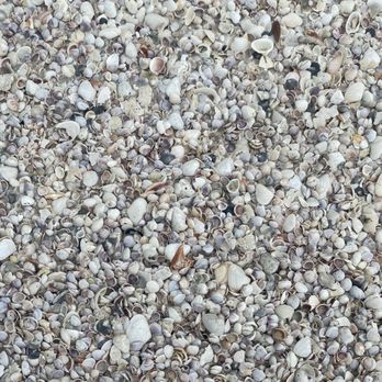 SHELL KEY SHUTTLE - Updated October 2025 - 81 Photos & 39 Reviews - 801 ...