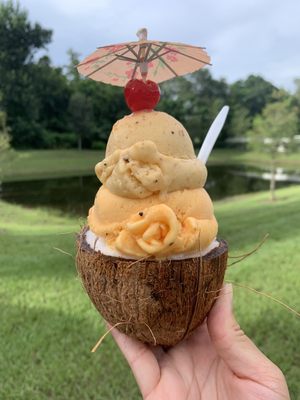 JR TROPICAL ICE CREAM - 41 Photos & 25 Reviews - 1461 N Goldenrod Rd ...
