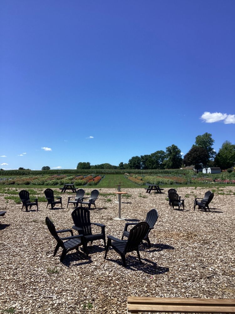 ROOTED FARMSTEAD - Updated October 2025 - 138 Scott Ave, Bellefonte ...