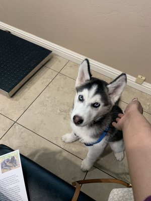 K+K VETERINARY SERVICES - KARING FOR KREATURES - 135 Photos & 69 ...