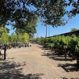 ALDEN LANE NURSERY - Updated December 2025 - 430 Photos & 235 Reviews ...