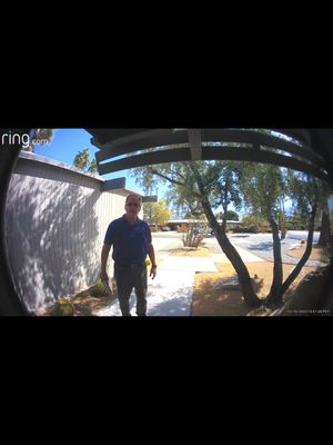 PURCOR PEST SOLUTIONS - Updated May 2024 - 13 Photos & 29 Reviews ...