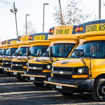 SAFEWAY TRANSPORTATION SERVICES - Updated October 2025 - 96 Honing Rd ...