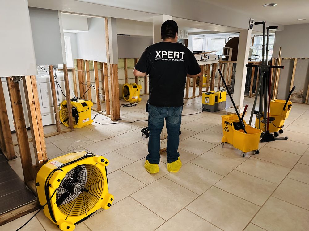 XPERT RESTORATION SOLUTIONS - Updated July 2025 - 30 Photos - 200 Easy ...