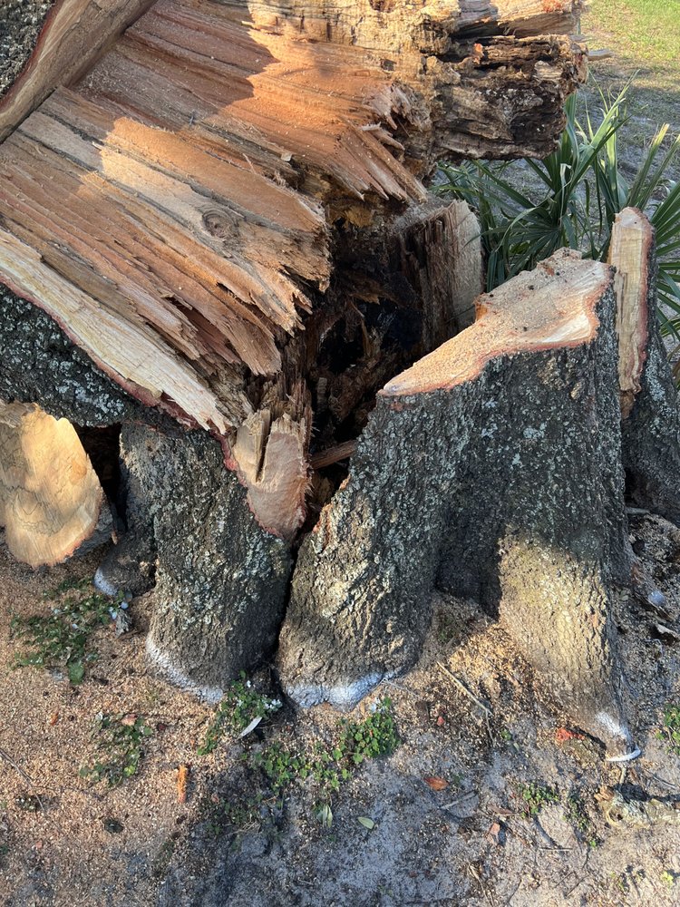 TREES AND MORE - Updated December 2025 - Request a Quote - 10 Photos ...