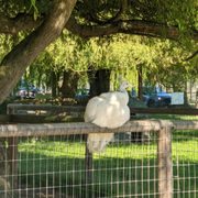 OLYMPIC GAME FARM - 664 Photos & 341 Reviews - 1423 Ward Rd, Sequim, WA ...