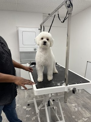 PAWS R US - Updated December 2025 - 87 Photos & 62 Reviews - 7955 N ...