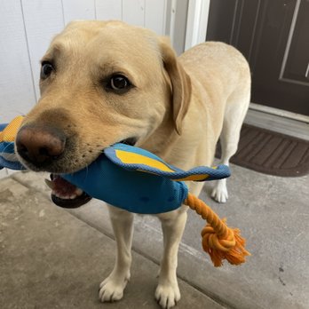 PETSMART - Updated October 2025 - 59 Photos & 135 Reviews - 575 Rohnert ...