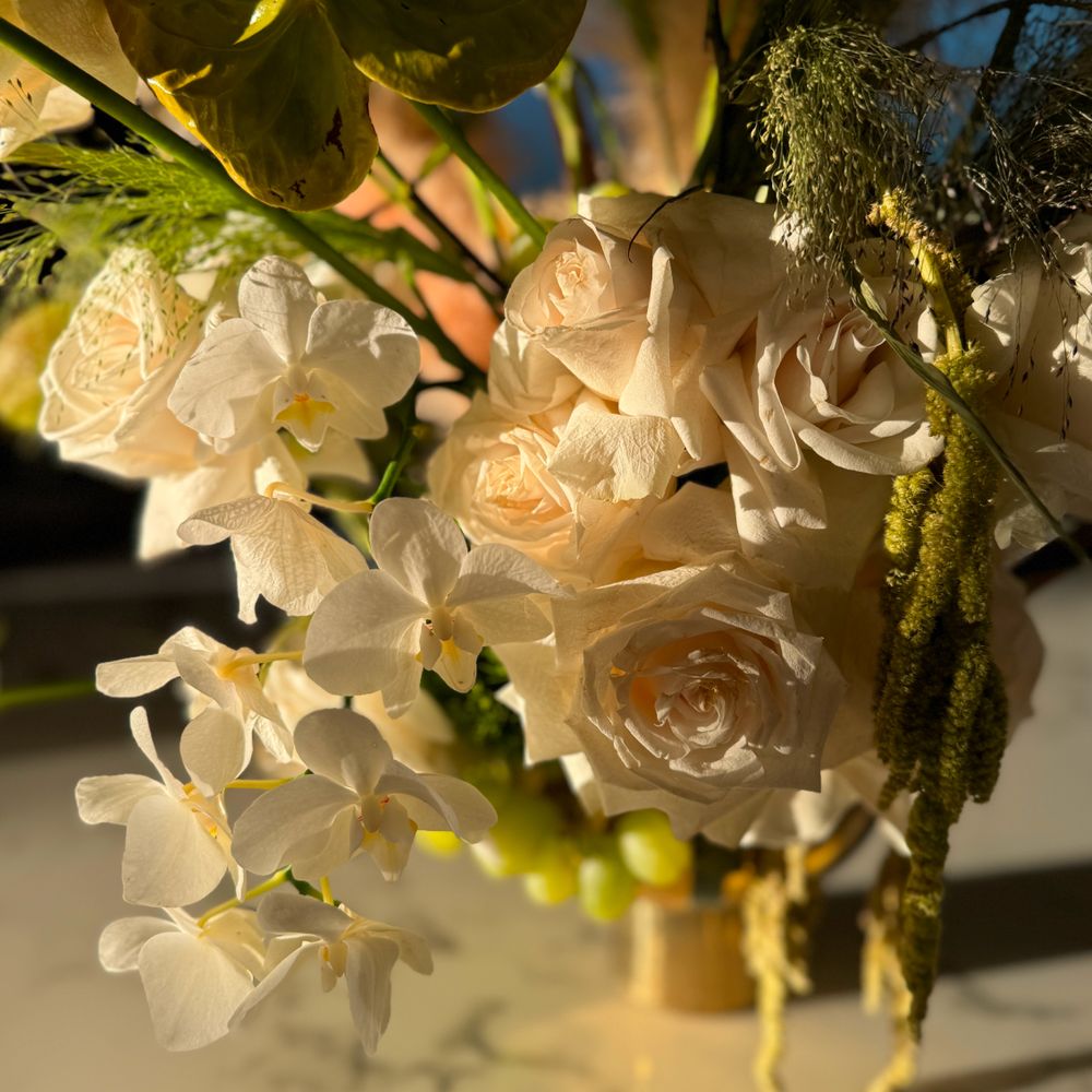 LUNA ROOM - Updated July 2025 - Request a Quote - 31 Photos - Apple ...