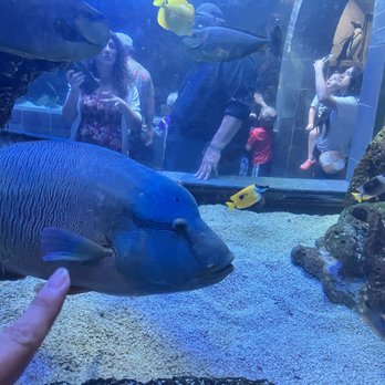 THE DALLAS WORLD AQUARIUM - Updated December 2024 - 3649 Photos & 1279 ...