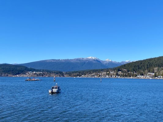 ROCKY POINT PARK - 176 Photos & 29 Reviews - 2800 Murray St, Port Moody ...